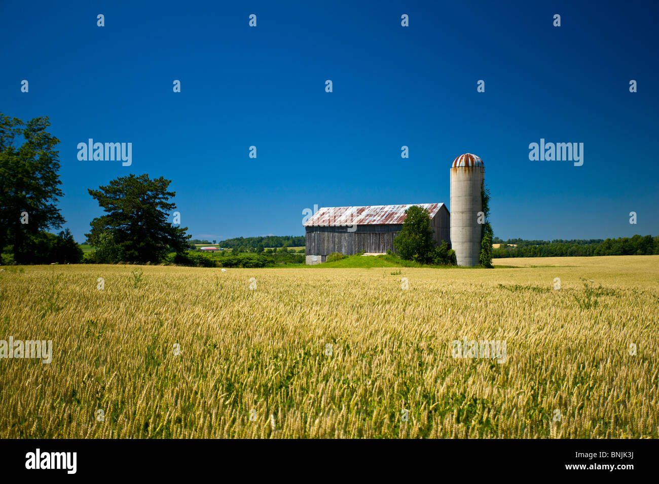 Barn silo hi-res stock photography and images - Alamy