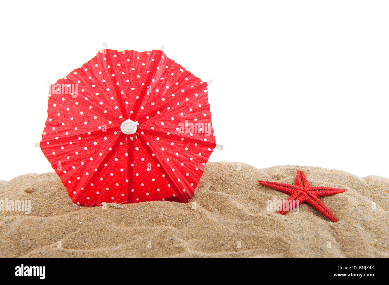 Red spotted starfish hi-res stock photography and images - Alamy