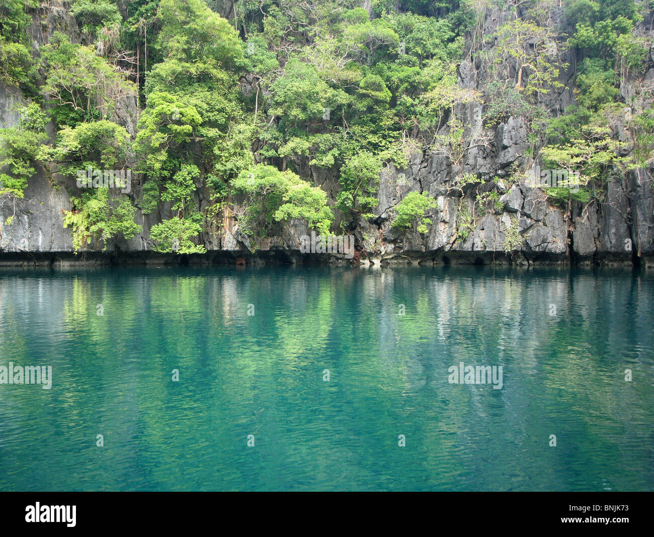 Big Lagoon surrounded by limestone cliffs in the Bacuit Archipelago ...