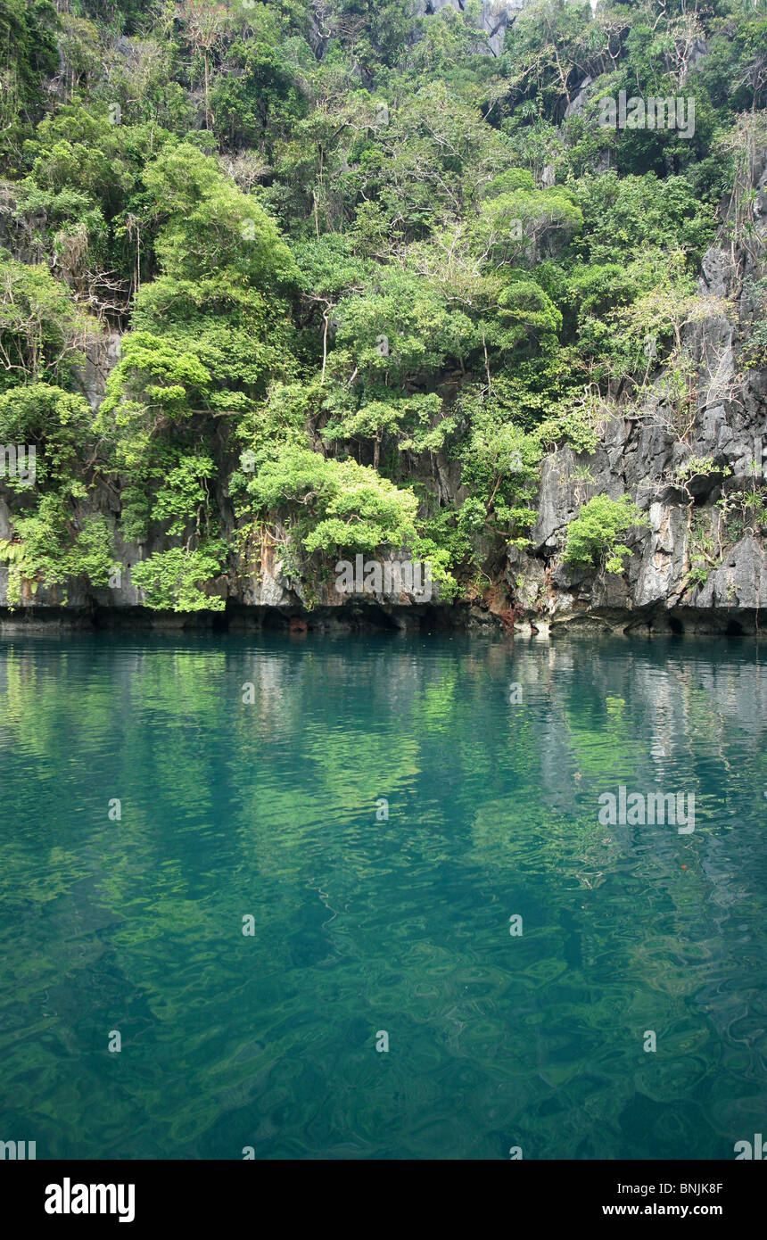 Big Lagoon surrounded by limestone cliffs in the Bacuit Archipelago ...