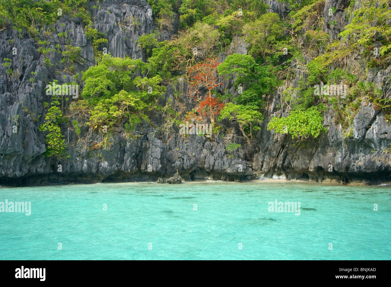 Beautiful clear water in Big Lagoon surrounded by limestone cliffs in ...