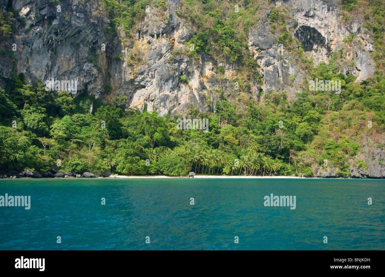 Clear blue water & a tropical island beach lined with palm trees in the ...
