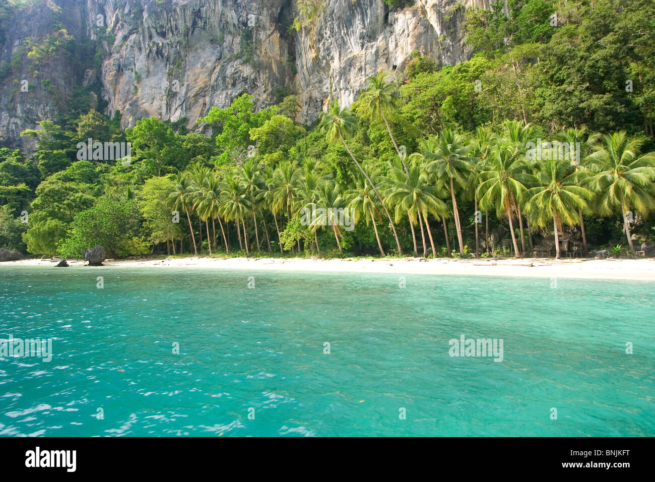 Clear blue water & a tropical island beach lined with palm trees in the ...