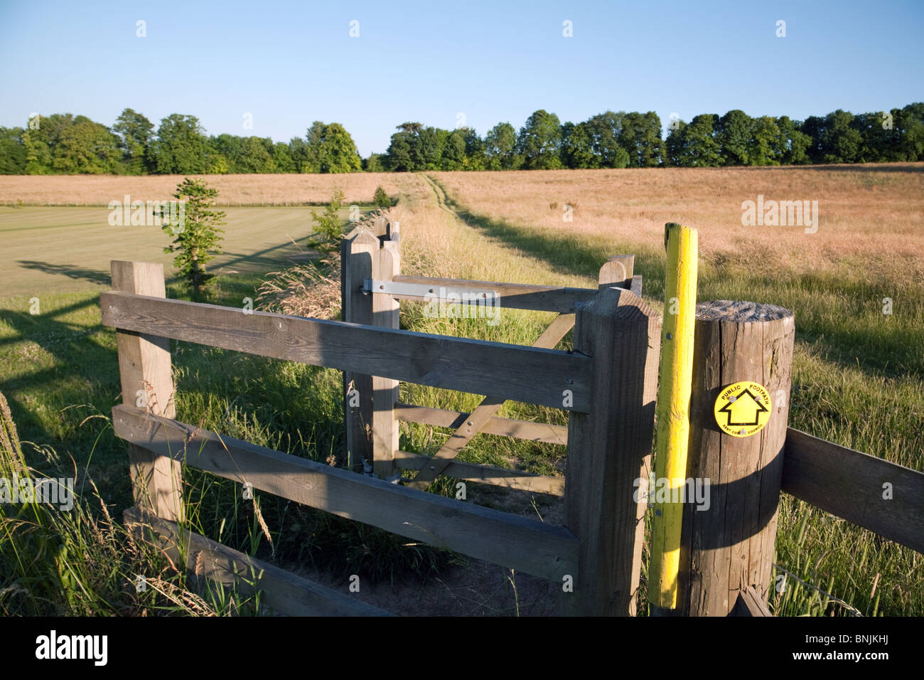 Public footpath across fields in Kent countryside, Kent UK Stock Photo ...