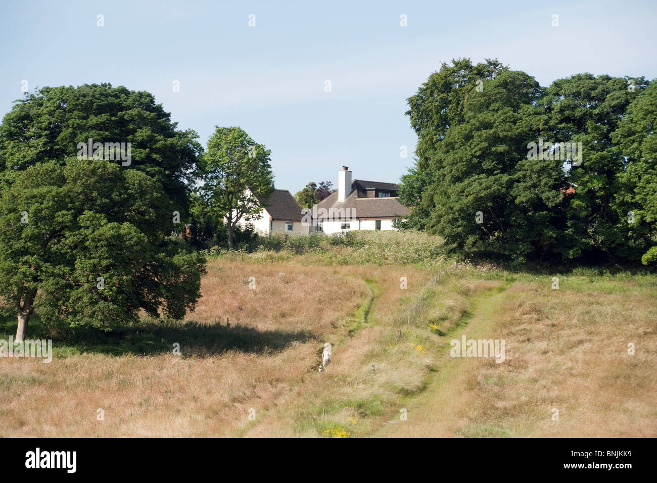 Kent countryside; the Weald of Kent, in the summer, Lyminge, Kent, UK ...