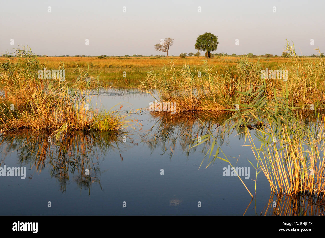 Kwando River Susuwe Island Lodge Bwabwata National Park Caprivi Region ...