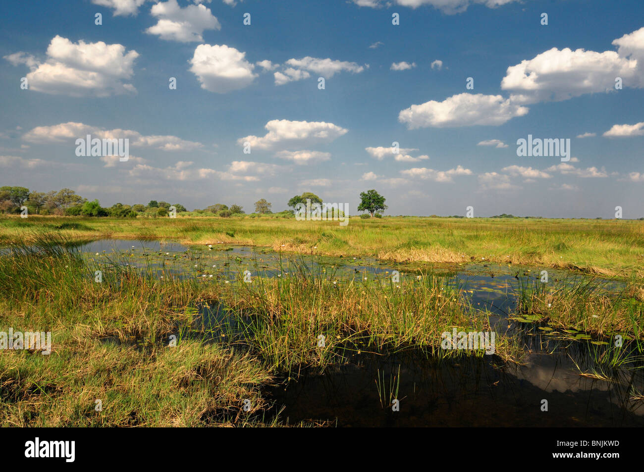 Kwando River Bwabwata National Park Susuwe Island Lodge Caprivi Namibia ...