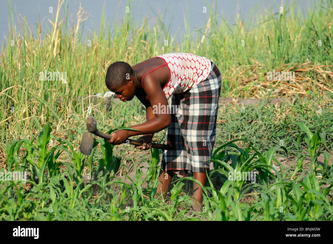Local people woman fishing village Zambezi River Caprivi Namibia Africa ...