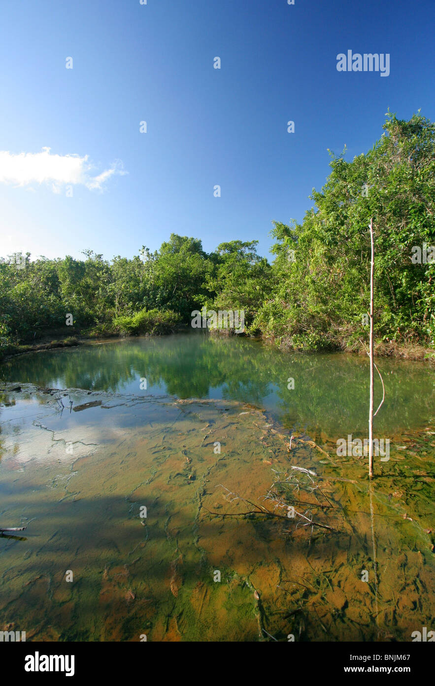 Maquinit (Makinit) Hot Springs near El Nido, Palawan, Philippines Stock ...
