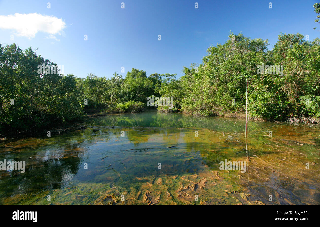 Maquinit (Makinit) Hot Springs near El Nido, Palawan, Philippines Stock ...