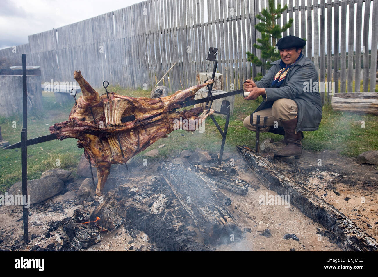 Animal meat hi-res stock photography and images - Alamy