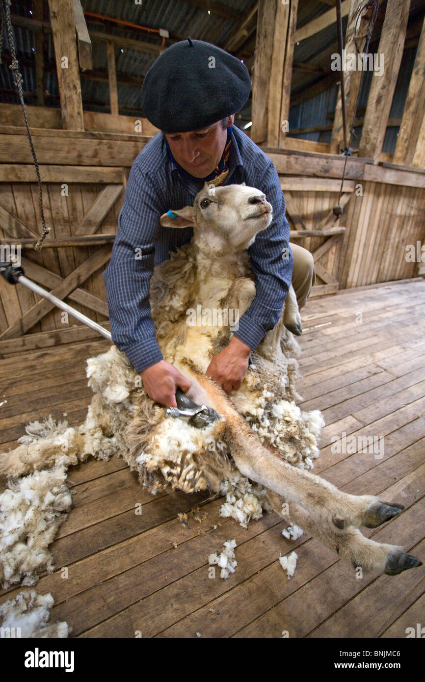 Gauchos Chile Stock Photos & Gauchos Chile Stock Images - Alamy