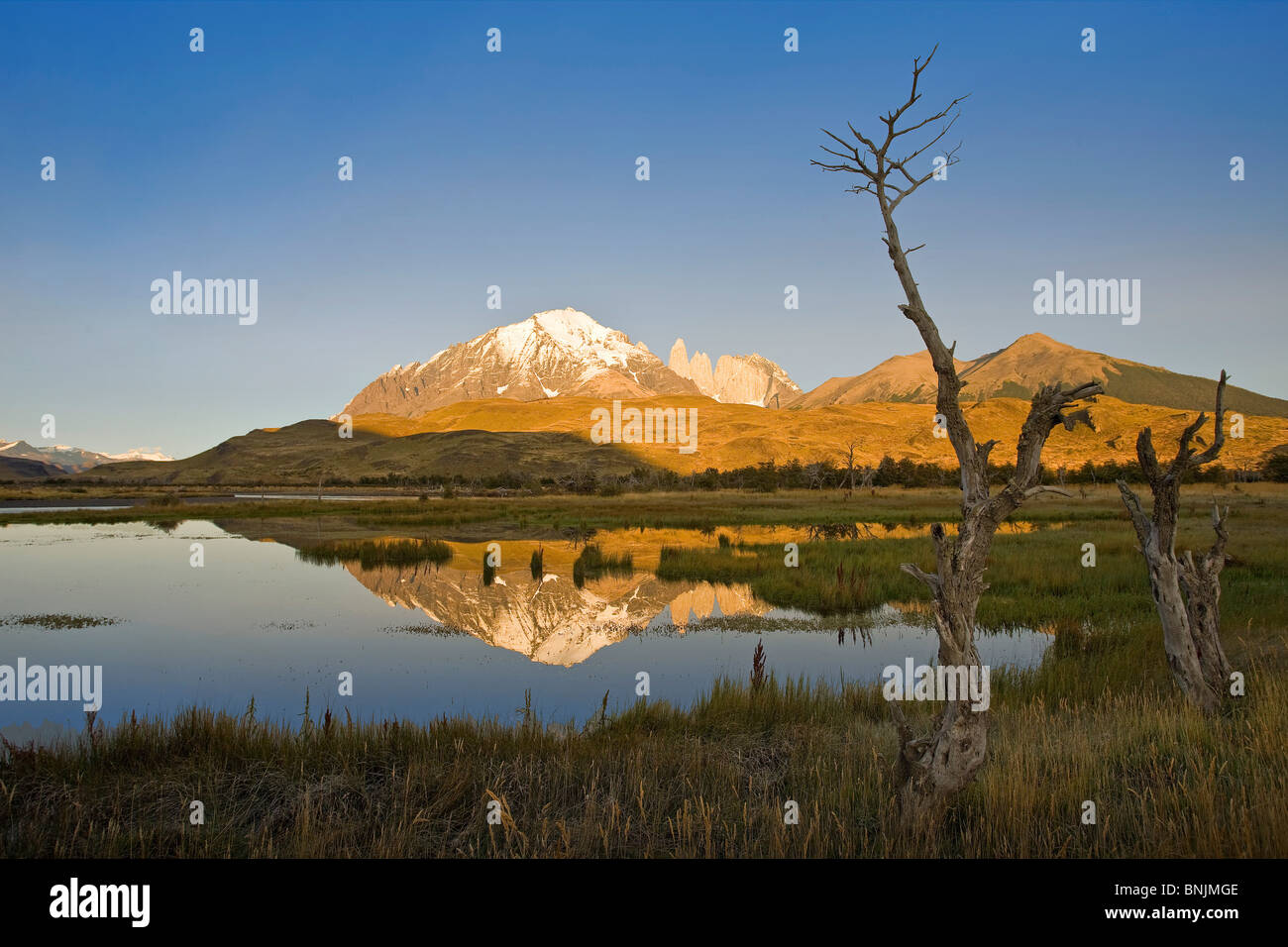 Chile South America March 2009 Chilean Patagonia Torres del Paine ...