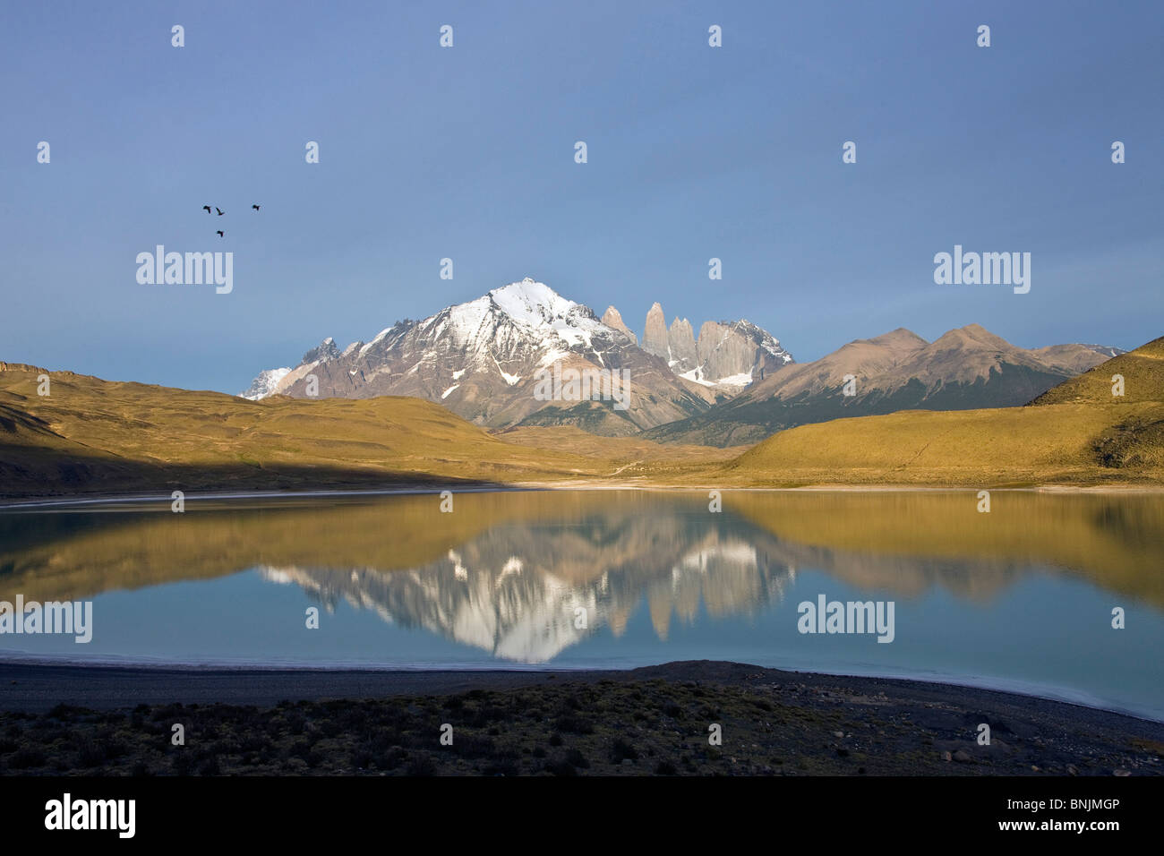 Chile South America March 2009 Chilean Patagonia Torres del Paine ...