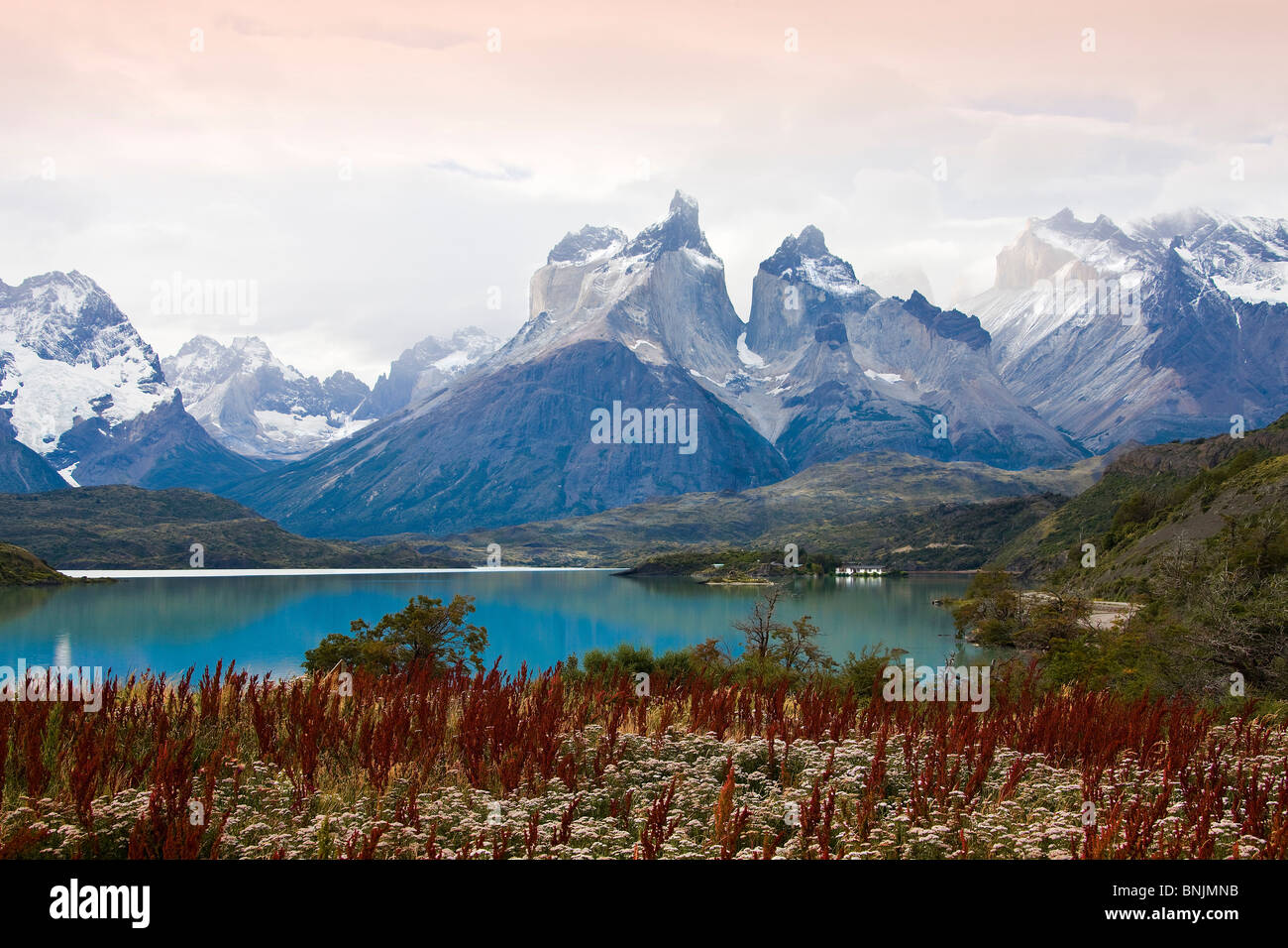 Chile South America March 2009 Chilean Patagonia Torres del Paine ...