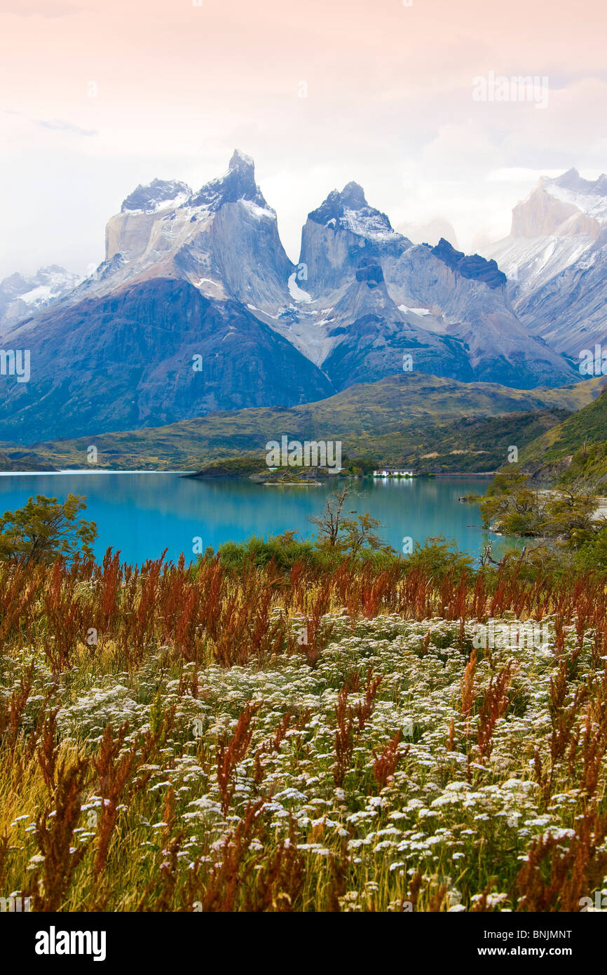 Chile South America March 2009 Chilean Patagonia Torres del Paine ...