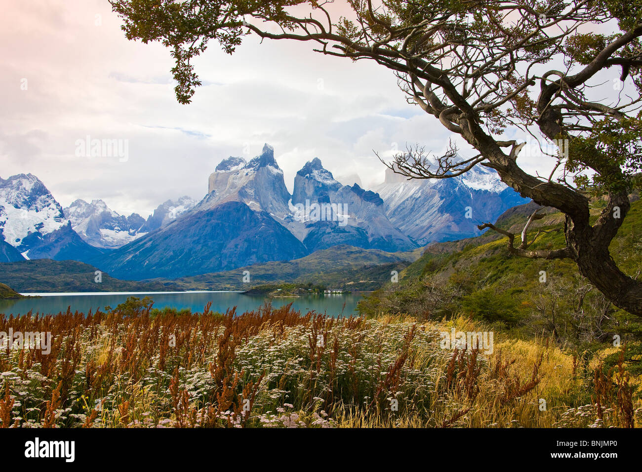 Chile South America March 2009 Chilean Patagonia Torres del Paine ...