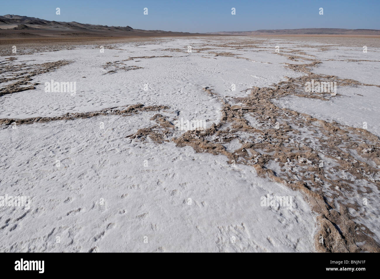 Salt Crust Skeleton Coast Camp Wilderness Safaris Skeleton Coast ...