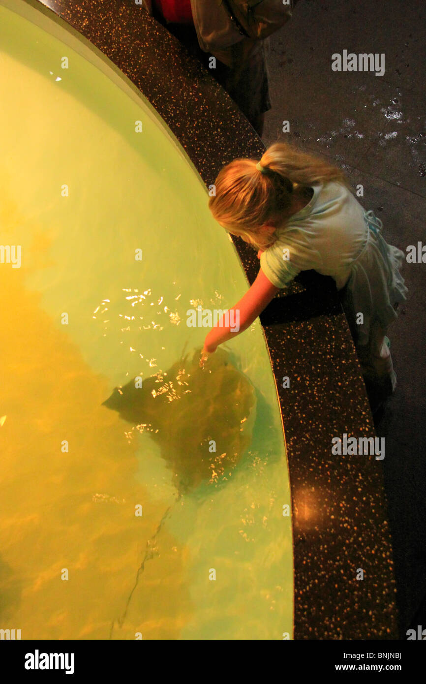 Touch pool aquarium hi-res stock photography and images - Alamy