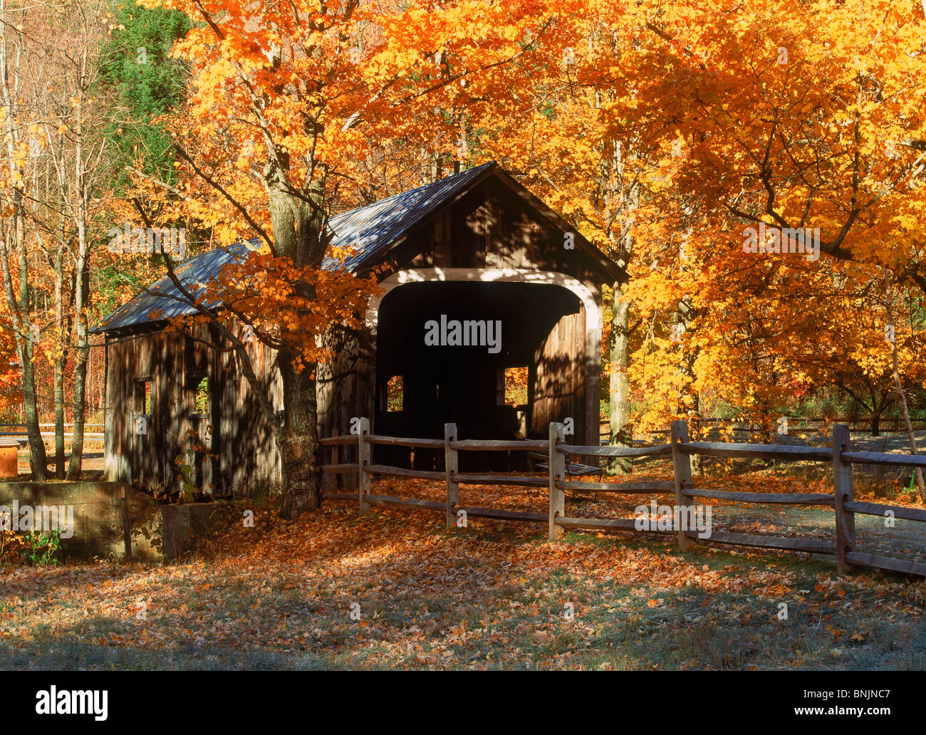 Old covered bridge amid fall foliage near Grafton, Vermont in New ...