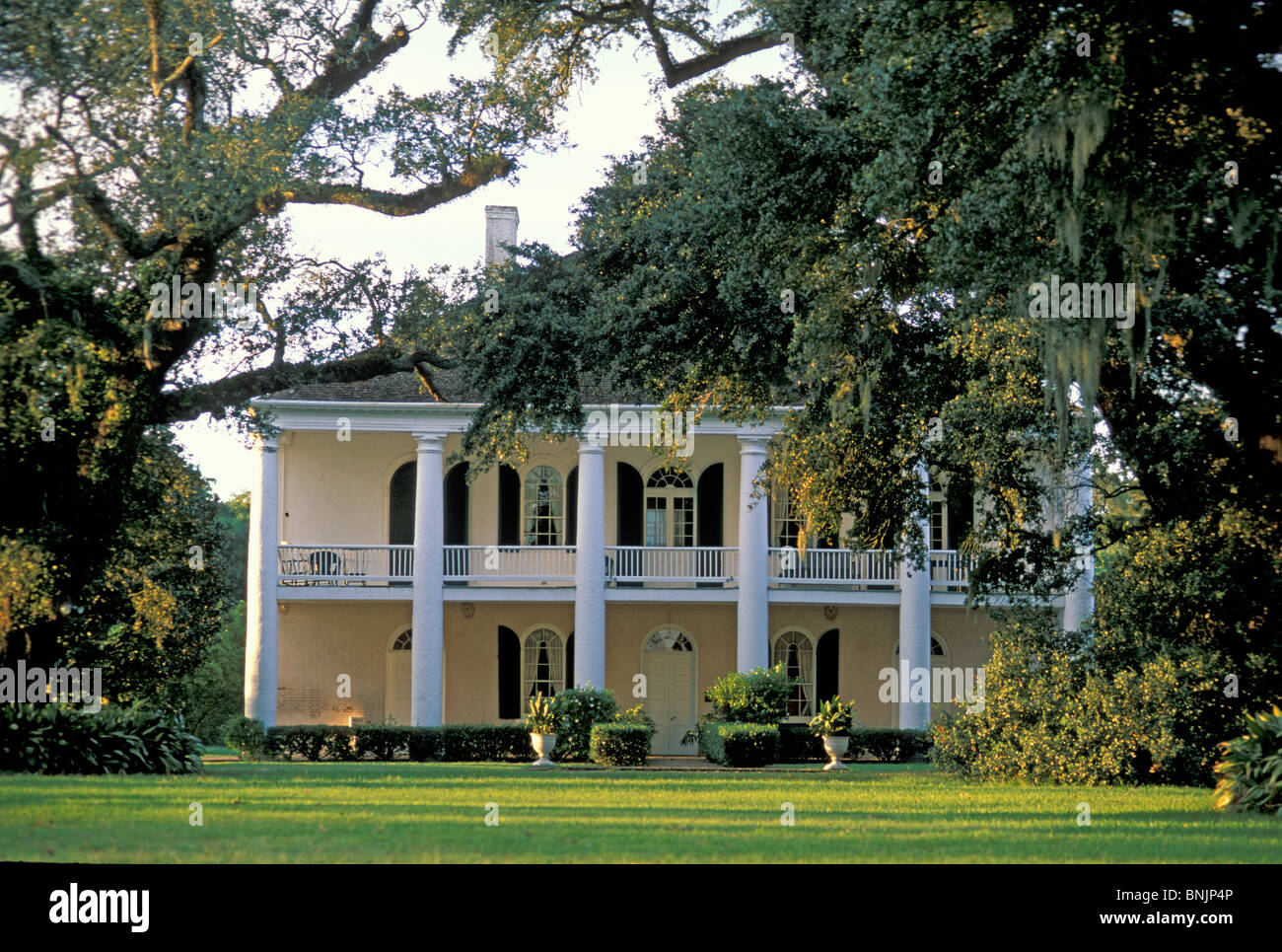 Chretien point plantation hi-res stock photography and images - Alamy