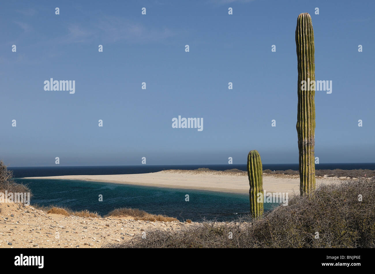 Isla cerralvo hi-res stock photography and images - Alamy