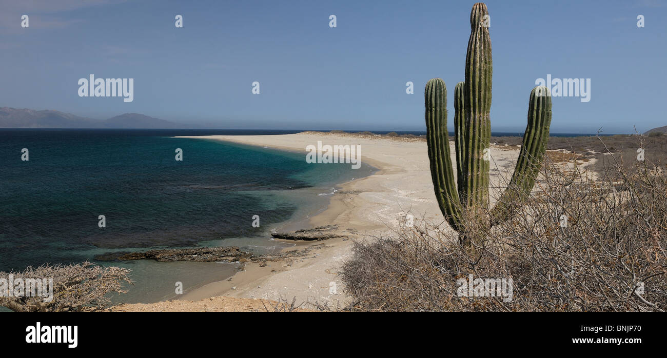panorama landscape cactus beach Isla Cerralvo La Ventana Bay Sea of ...