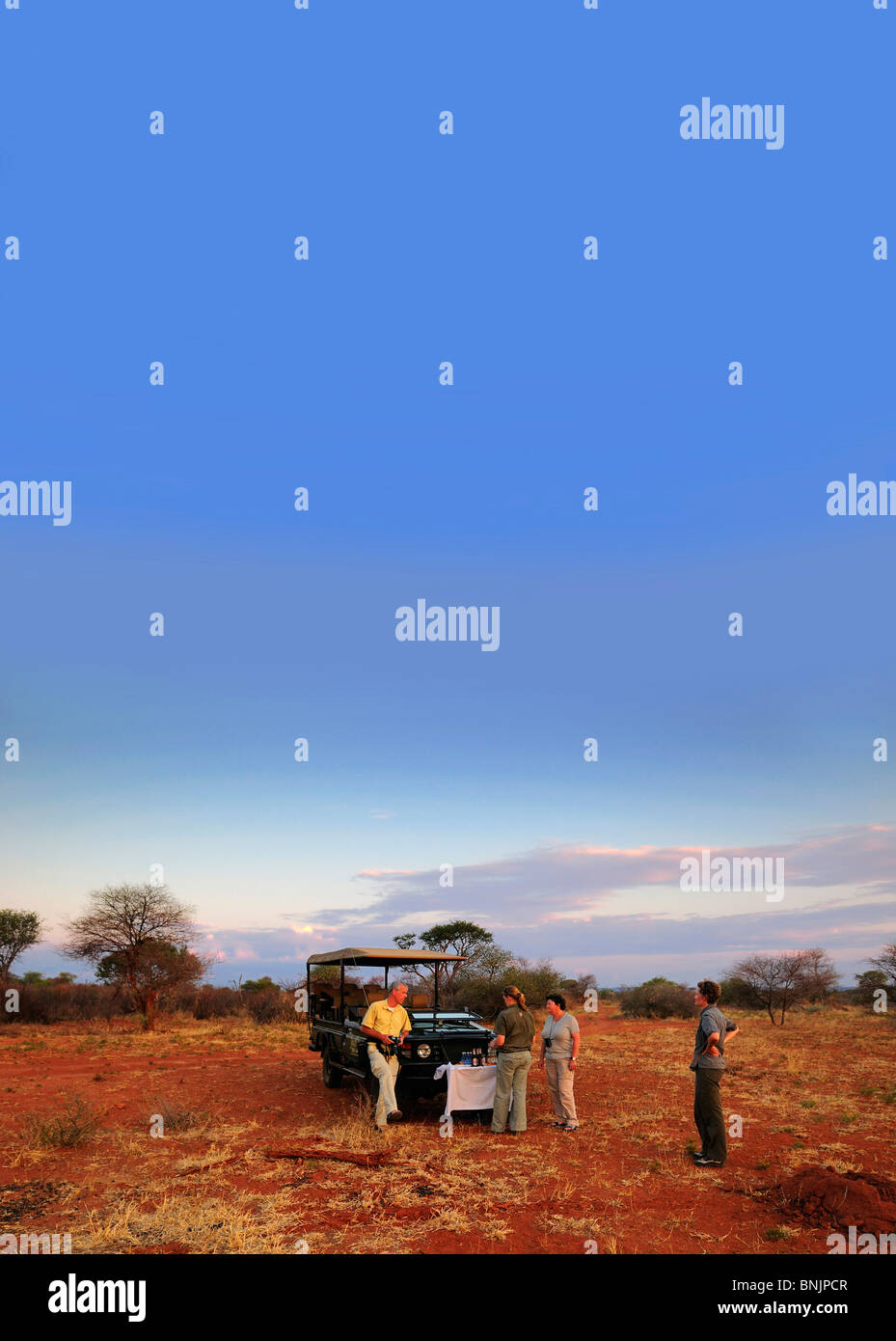 Sundowner Game Drive Jaci's Tree Lodge Madikwe Game Reserve North West ...