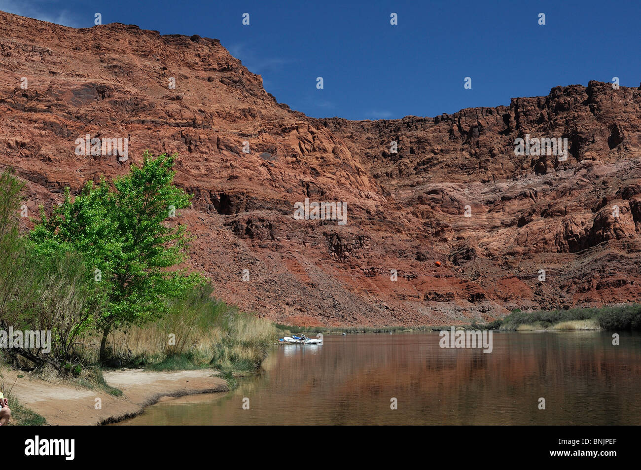 Colorado River Lees Ferry Glen Canyon National Recreation Area Arizona ...