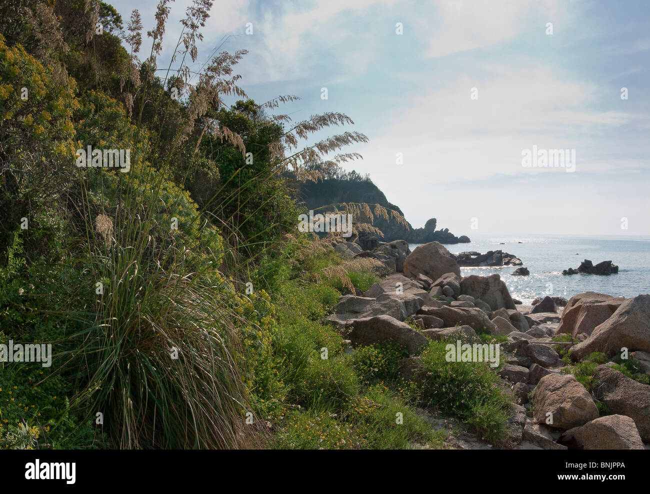 Marina di Zambrone Calabria Mediterranean Italy sea coast vegetation ...