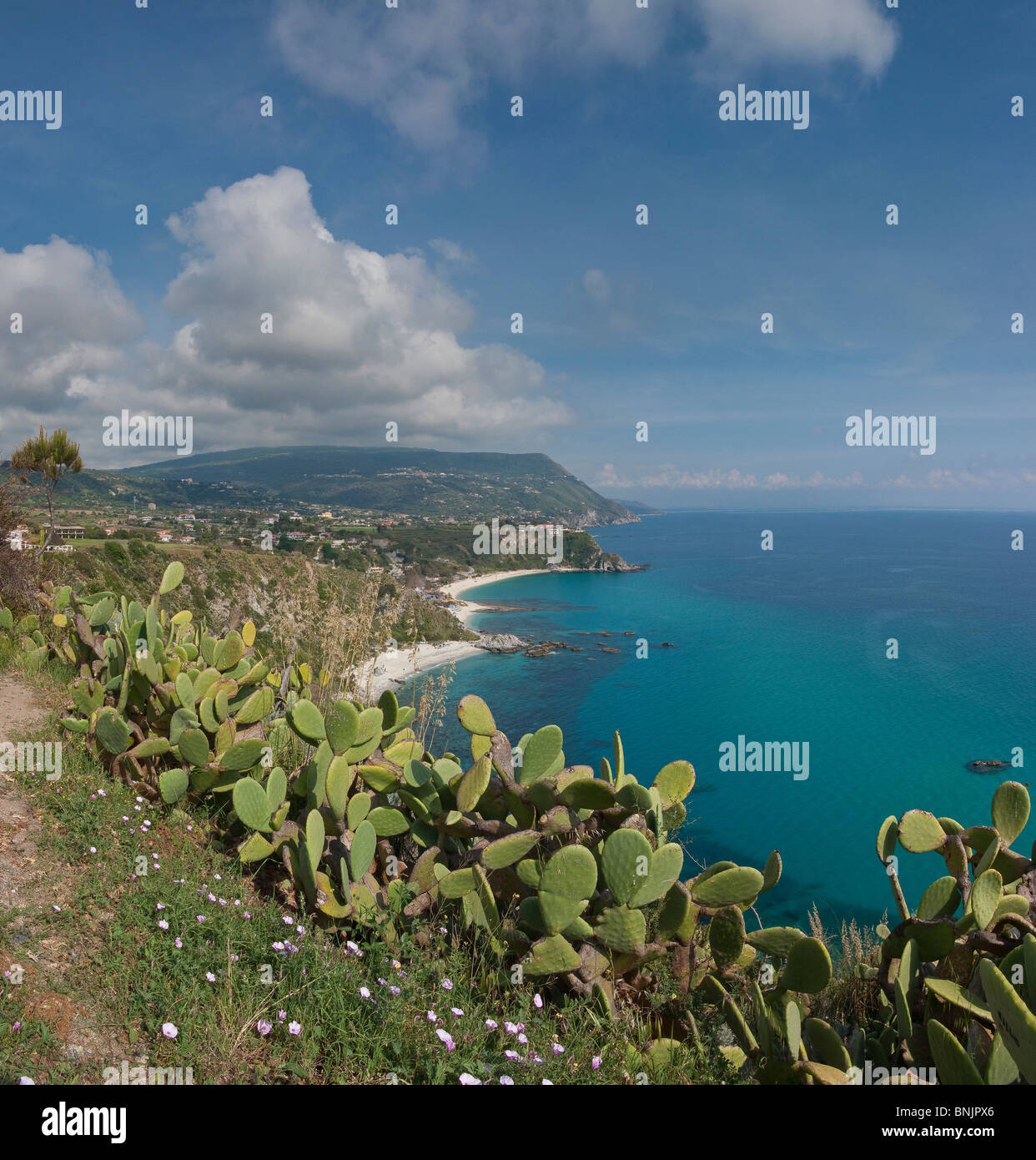 Capo di Vaticano Calabria Mediterranean Italy vegetation sea coast the ...