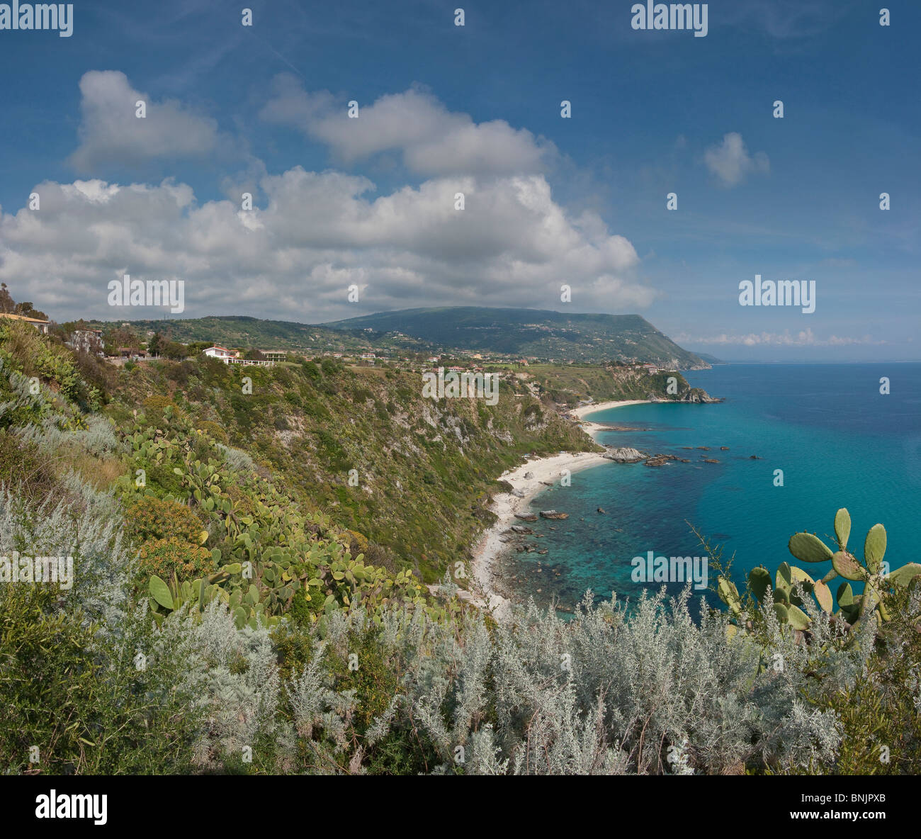 Capo di Vaticano Calabria Mediterranean Italy vegetation sea coast the ...