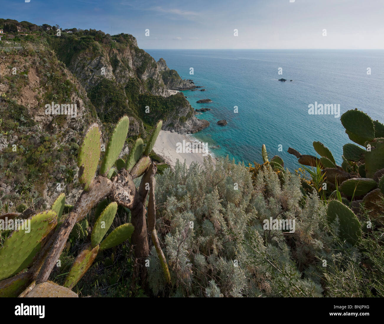 Capo di Vaticano Calabria Mediterranean Italy vegetation sea coast the ...