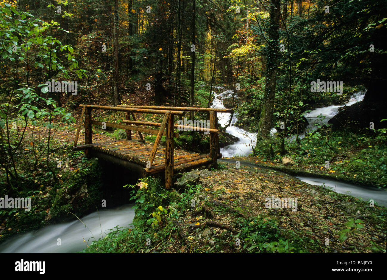 Vallorbe Switzerland Canton of Vaud brook wood forest autumn way wooden ...
