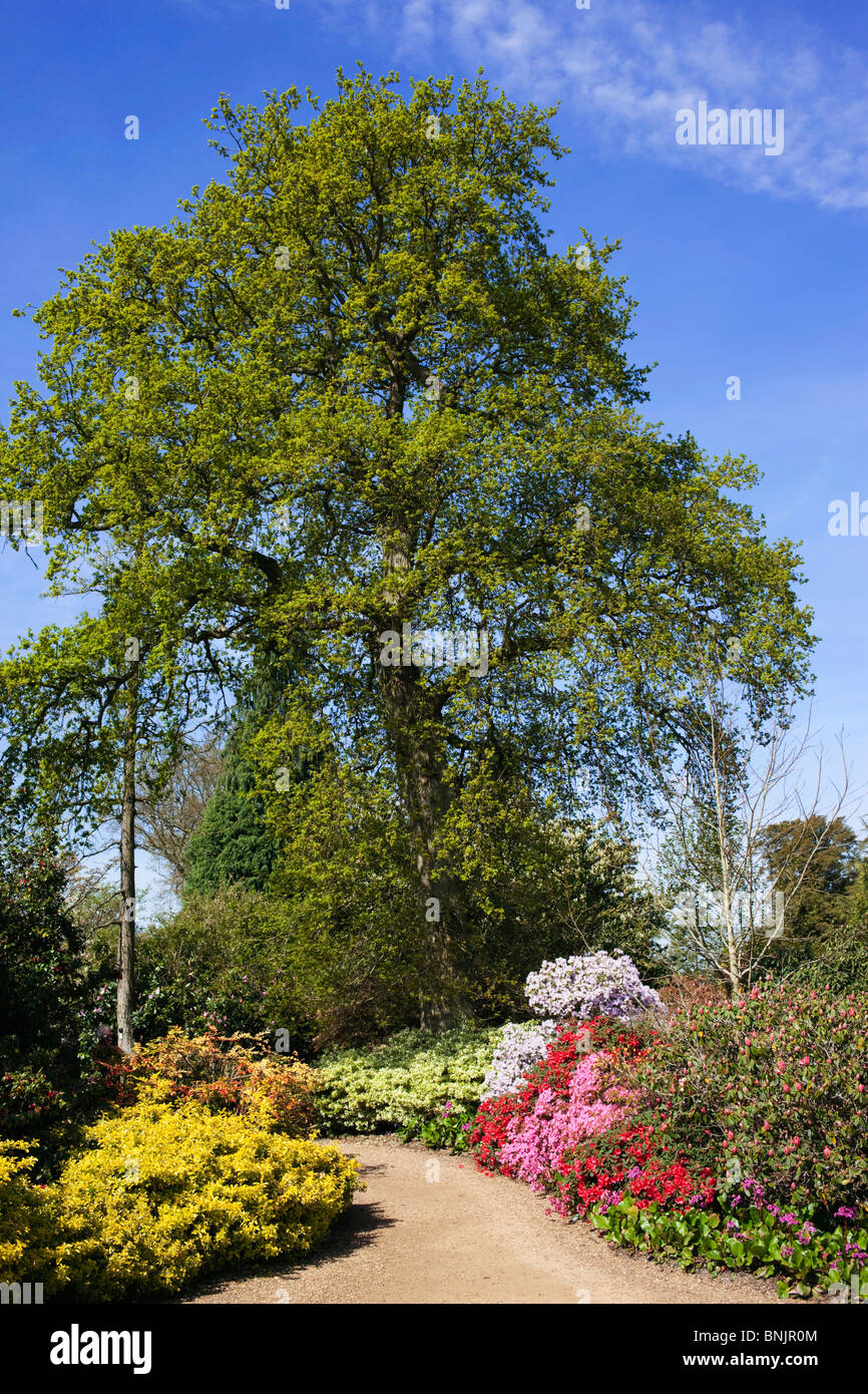 Wakehurst Spring High Resolution Stock Photography and Images - Alamy