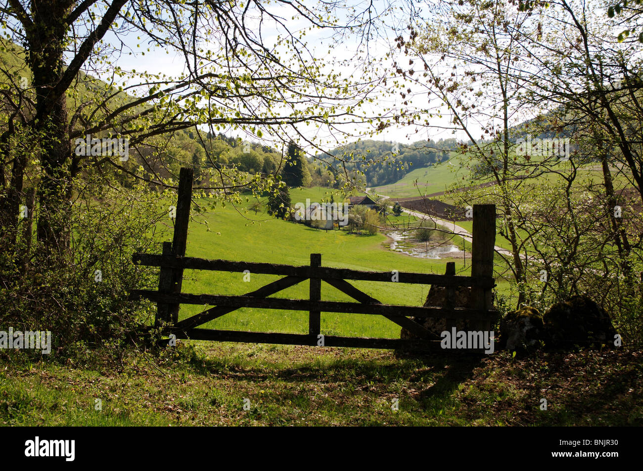 Gate pasture hedge hedgerow fence farmyard farm forest spring mountain ...