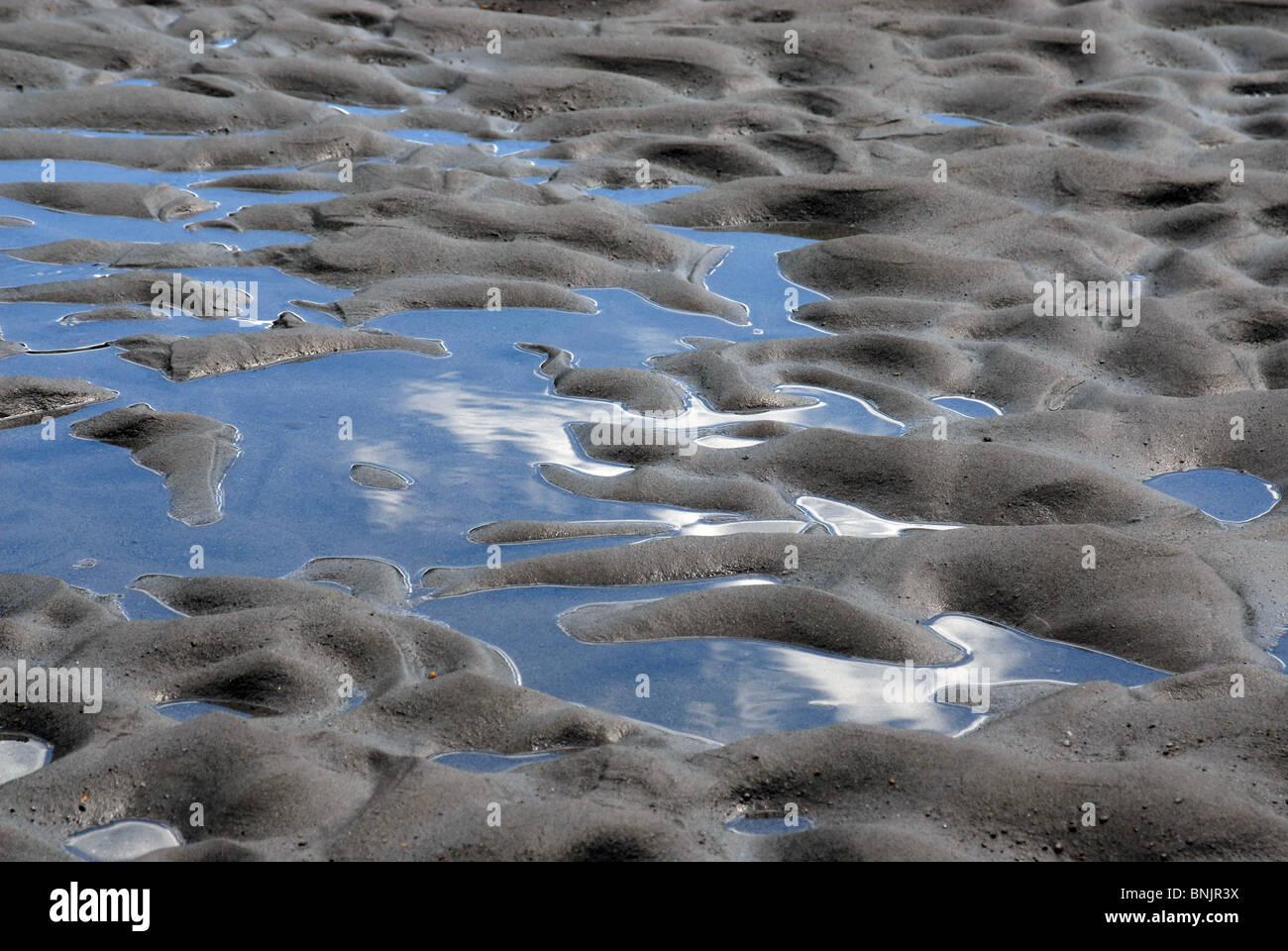 sand sand bar river water flood puddle reflection sky cloud Stock Photo ...