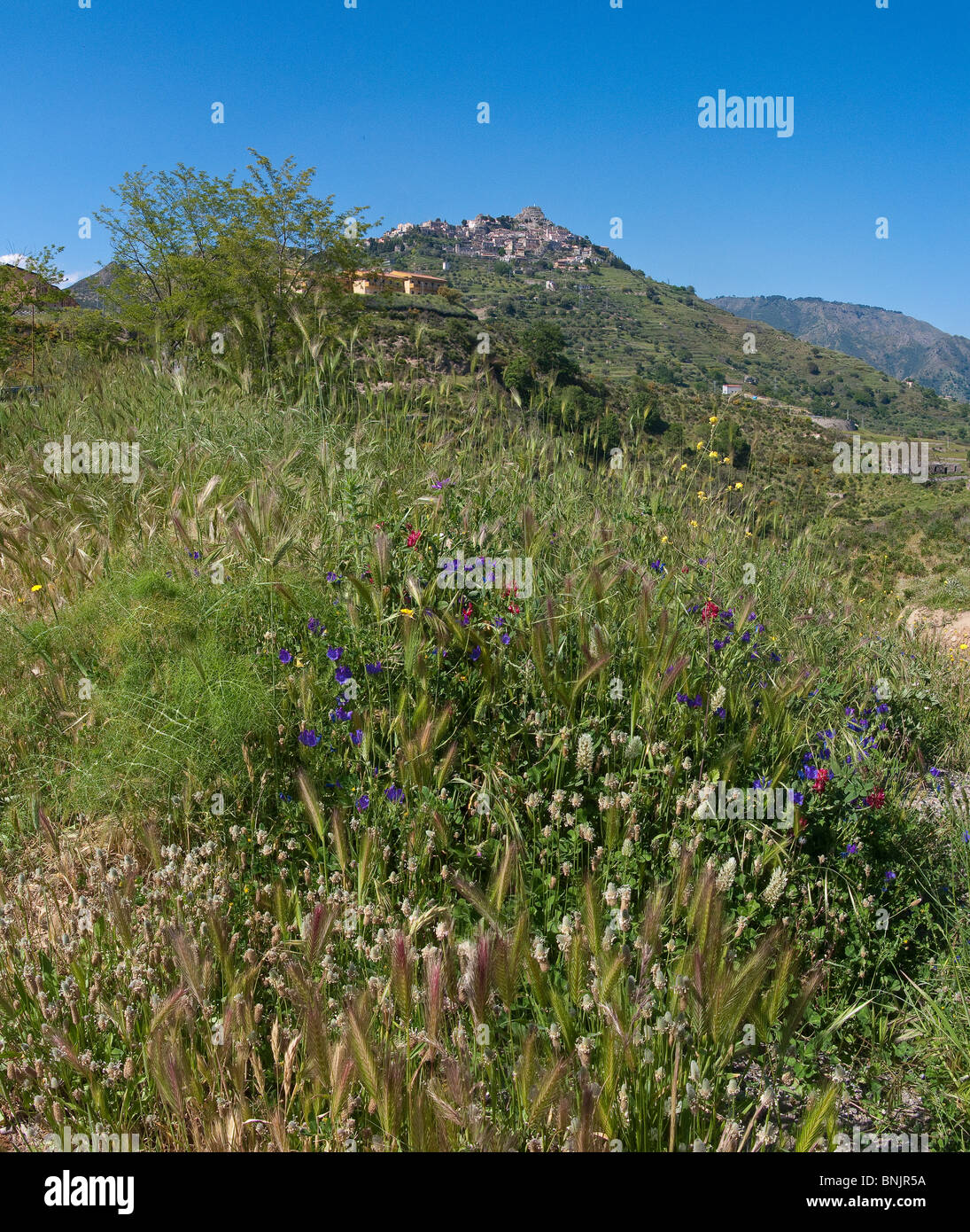 Parco national della Aspromonte Bova Calabria Mediterranean Italy ...