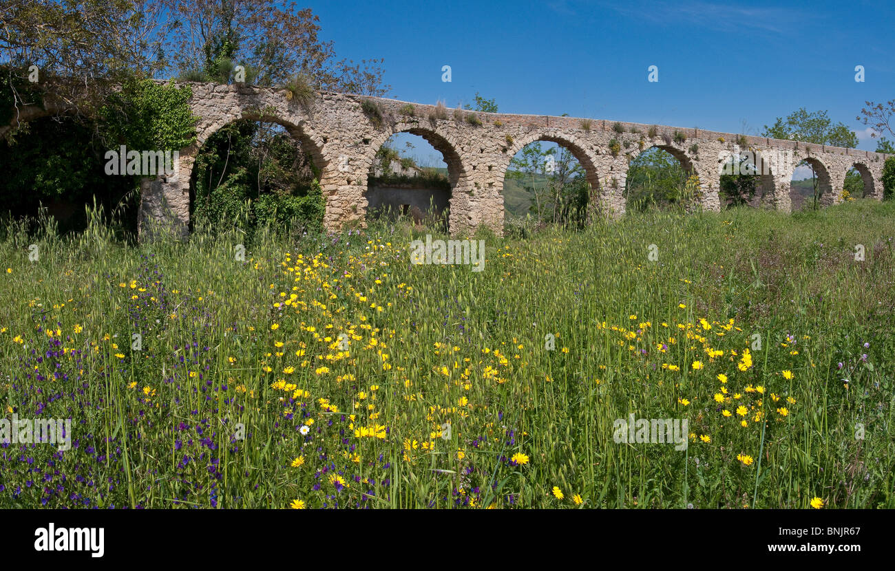 Spilinga Calabria Mediterranean Italy aqueduct Roman tree meadow Stock ...