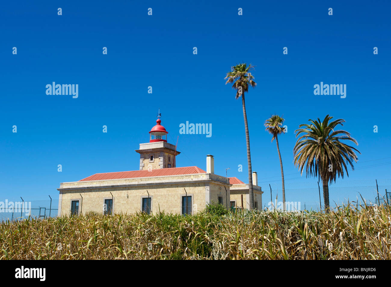 Algarve Portugal Ponta da Piedade Lagos lighthouse lighthouses field ...