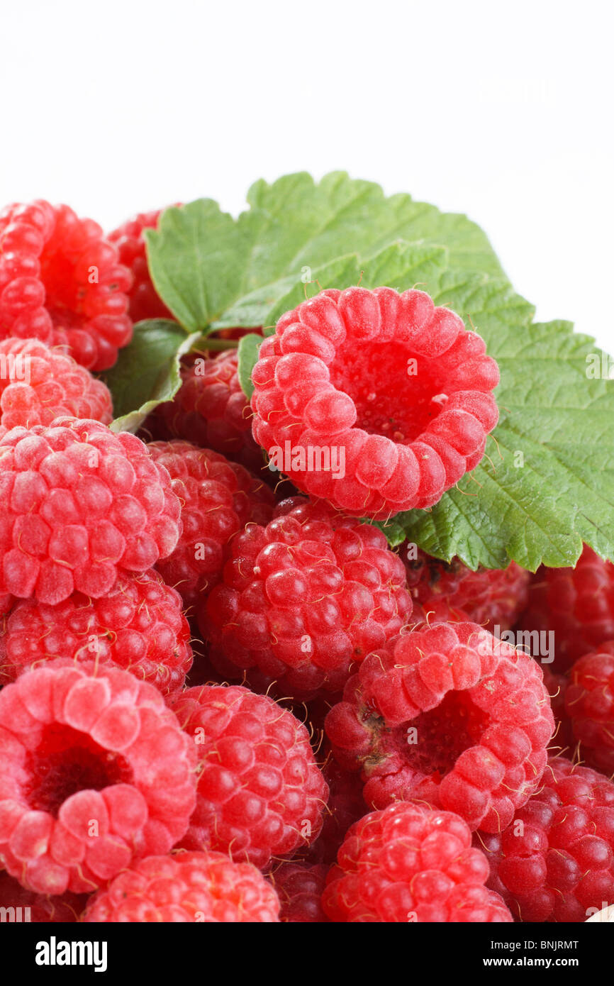 Wild raspberry leaf hi-res stock photography and images - Alamy