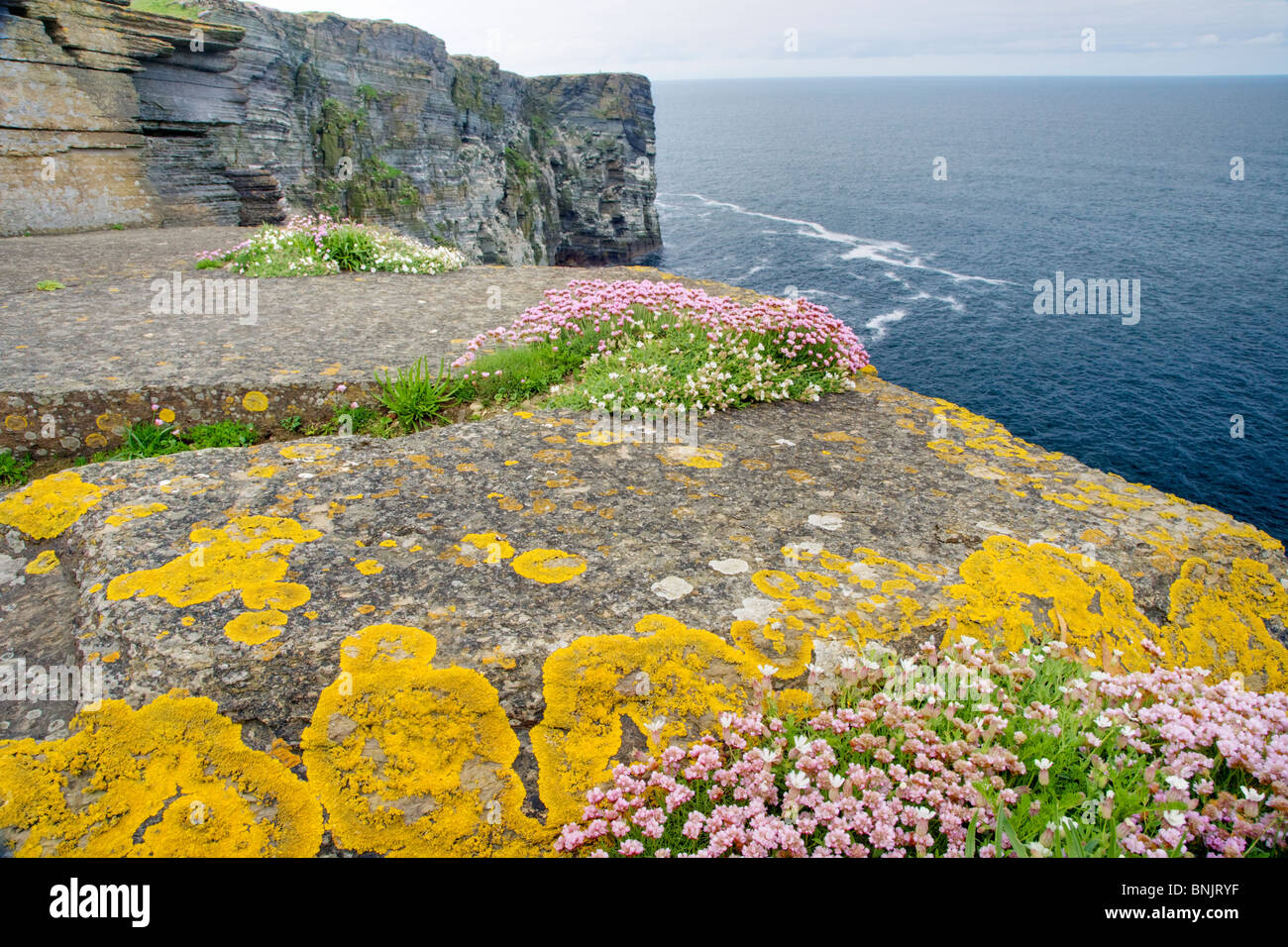 Rspb marwick head hi-res stock photography and images - Alamy