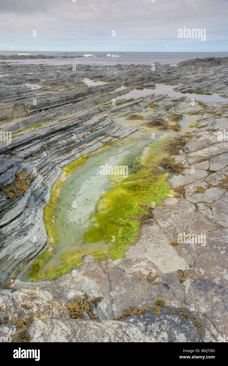 Brough head scotland hi-res stock photography and images - Alamy
