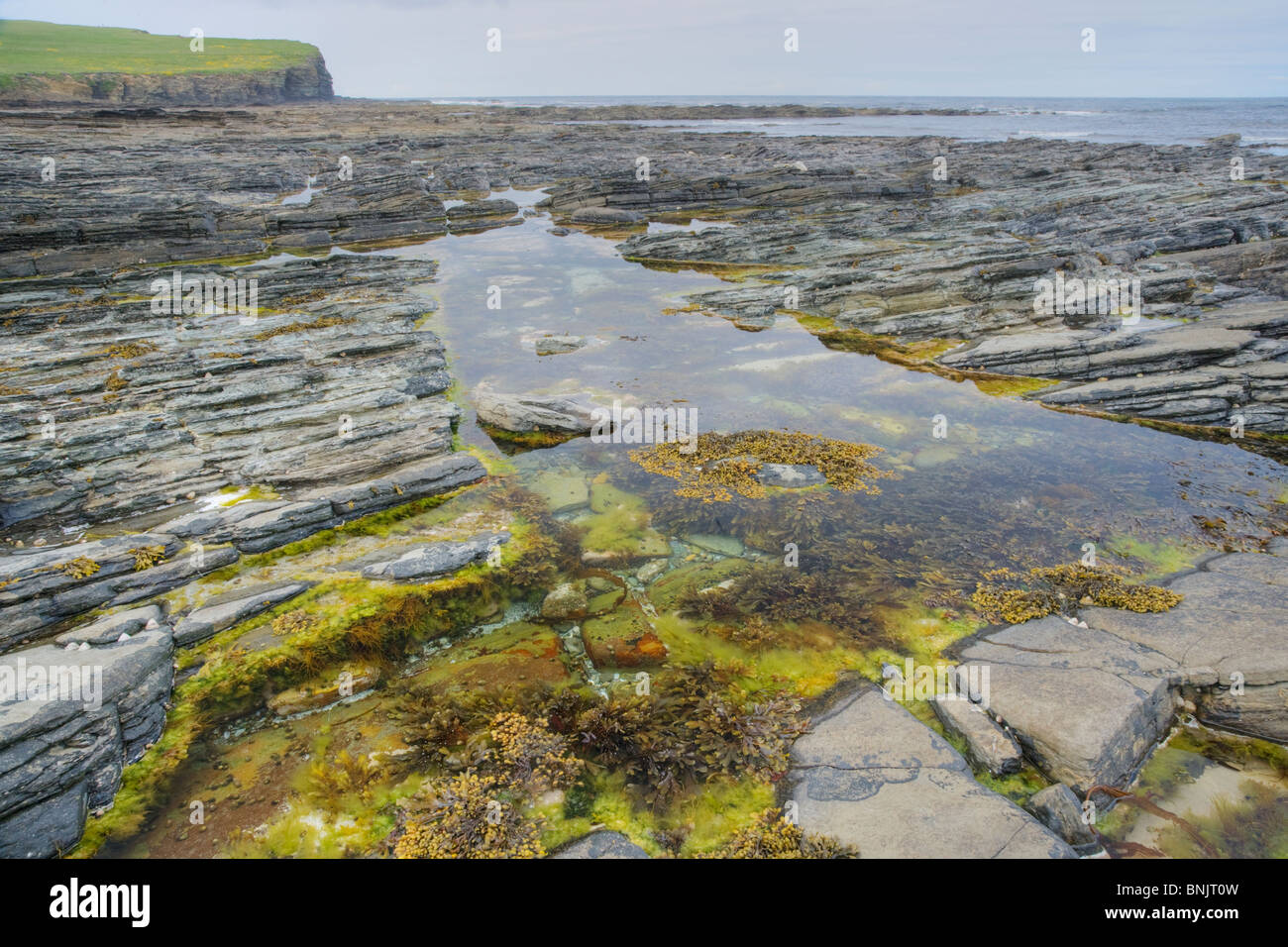 Rock Pool at Low Tide on Rocky Shore Brough Head, Orkney Mainland ...