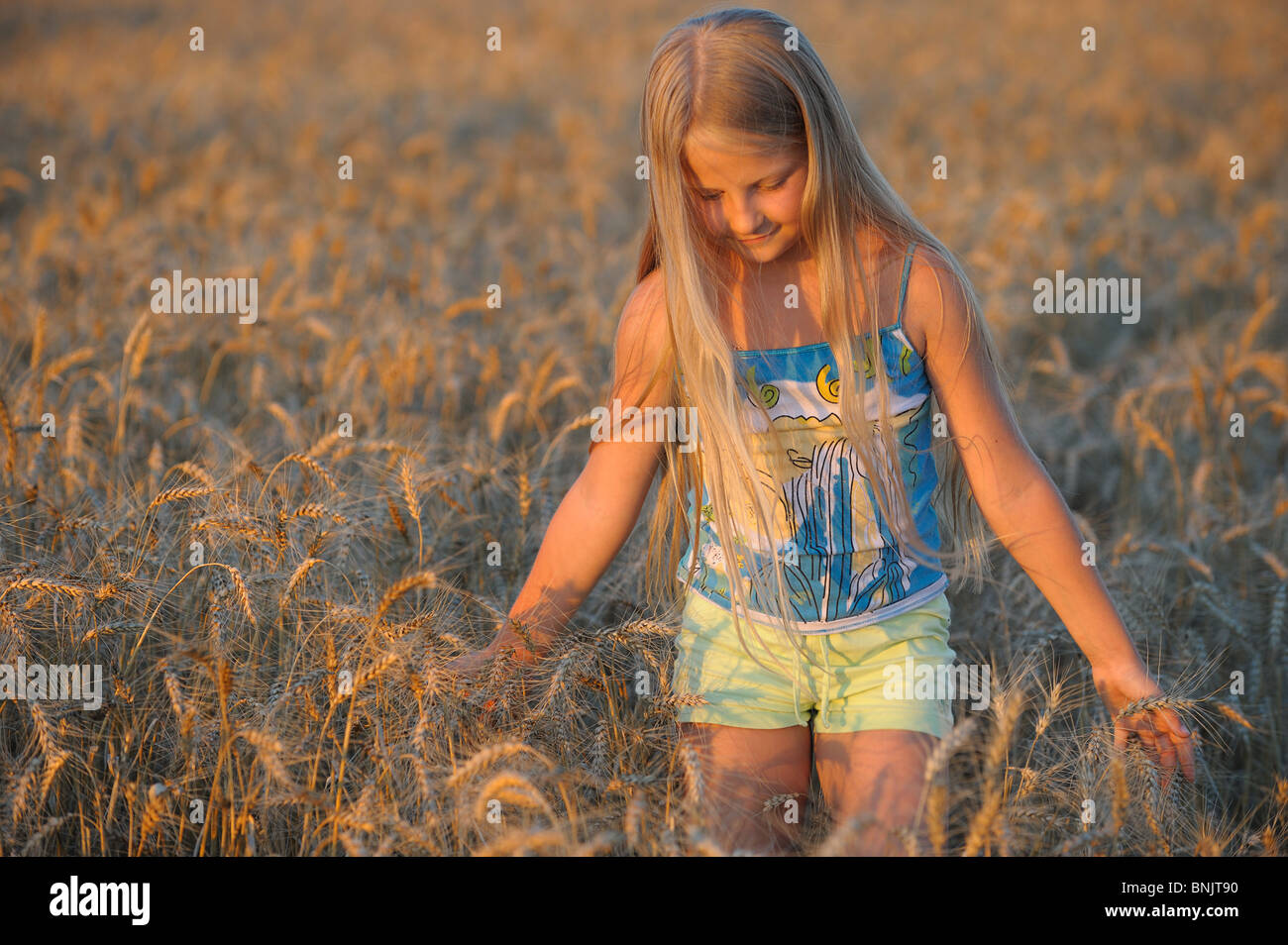 The girl in filed wheats. Warm light sunset Stock Photo - Alamy
