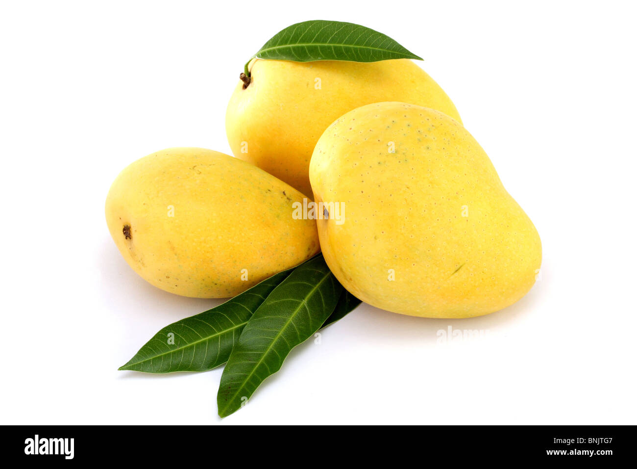 Close up mangoes pile Cut Out Stock Images & Pictures - Alamy