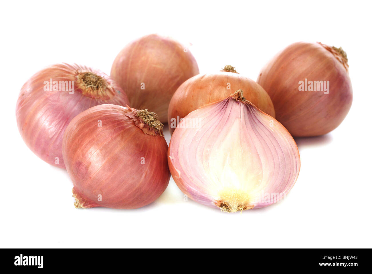 Cross section onion root hi-res stock photography and images - Alamy