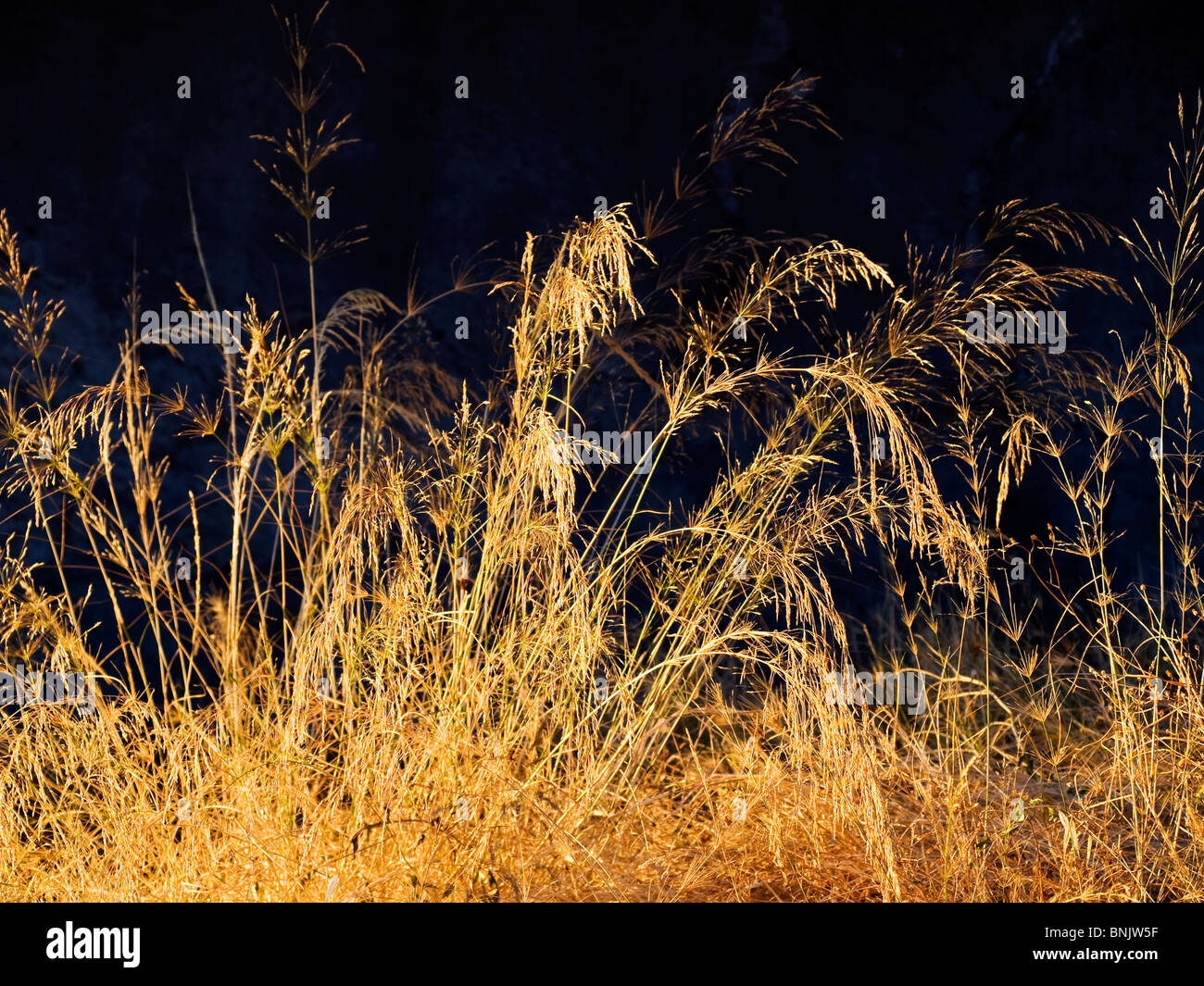 Barn warming hi-res stock photography and images - Alamy