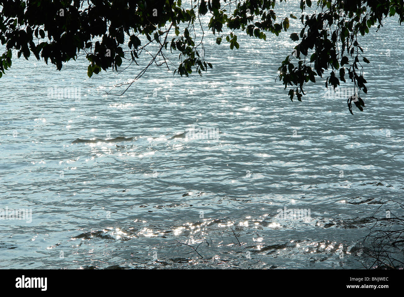 Shilloute hi-res stock photography and images - Alamy