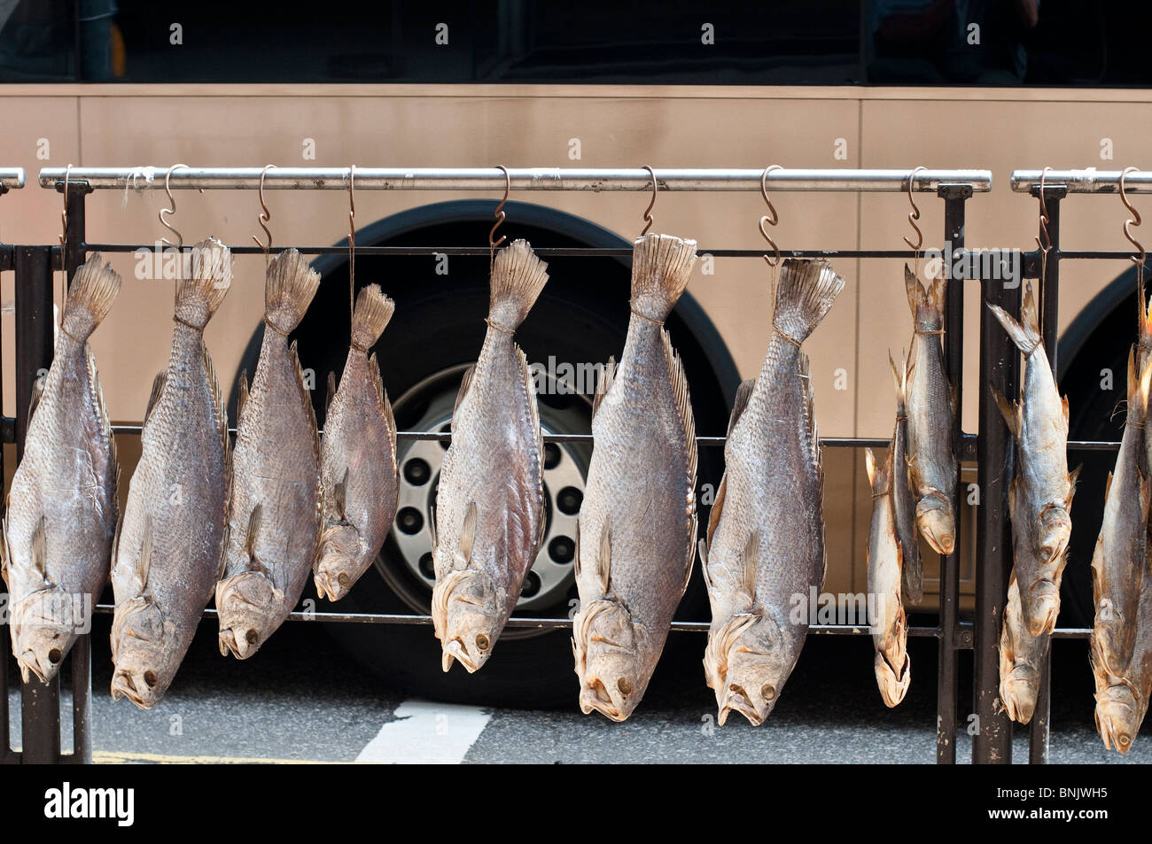 Fish railings hi-res stock photography and images - Alamy